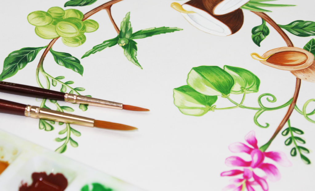 Our fascination for hand painted botanical illustrations - TAN-TA-DAN ...